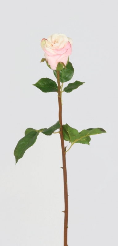 4481 Rose | Living Home